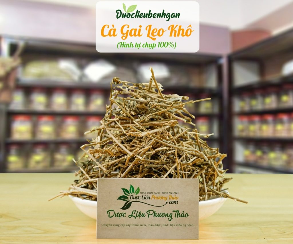 Cà Gai Leo khô