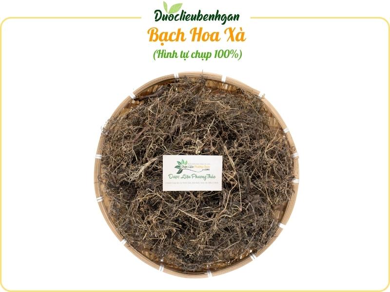 Bạch Hoa Xà Thiệt Thảo